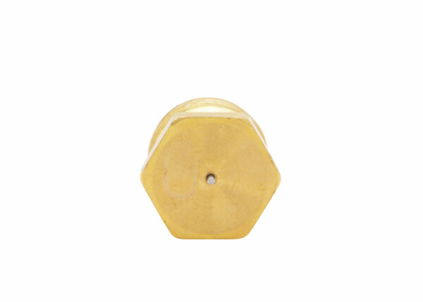 Regulator Encapsulated Seat Assembly