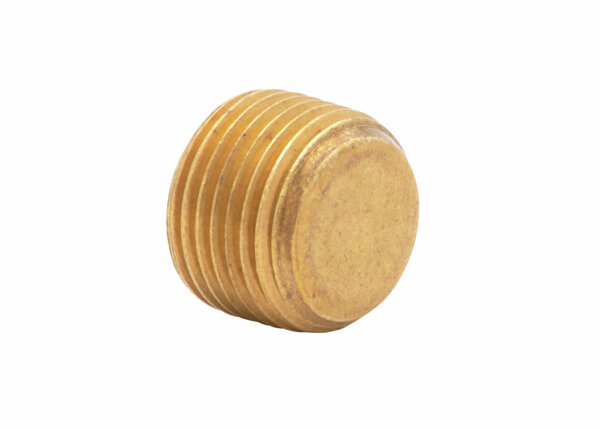 Model 316SS Hex Socket Plug