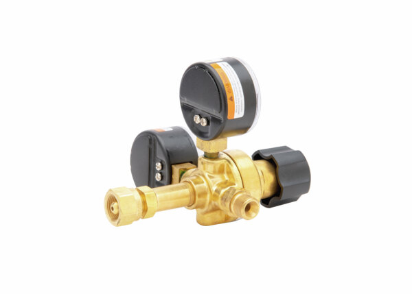 Model 601-15-200-B Economical Single-Stage Pressure Regulator