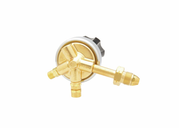 Model 29-50C-510P Single-Stage Pressure Regulator